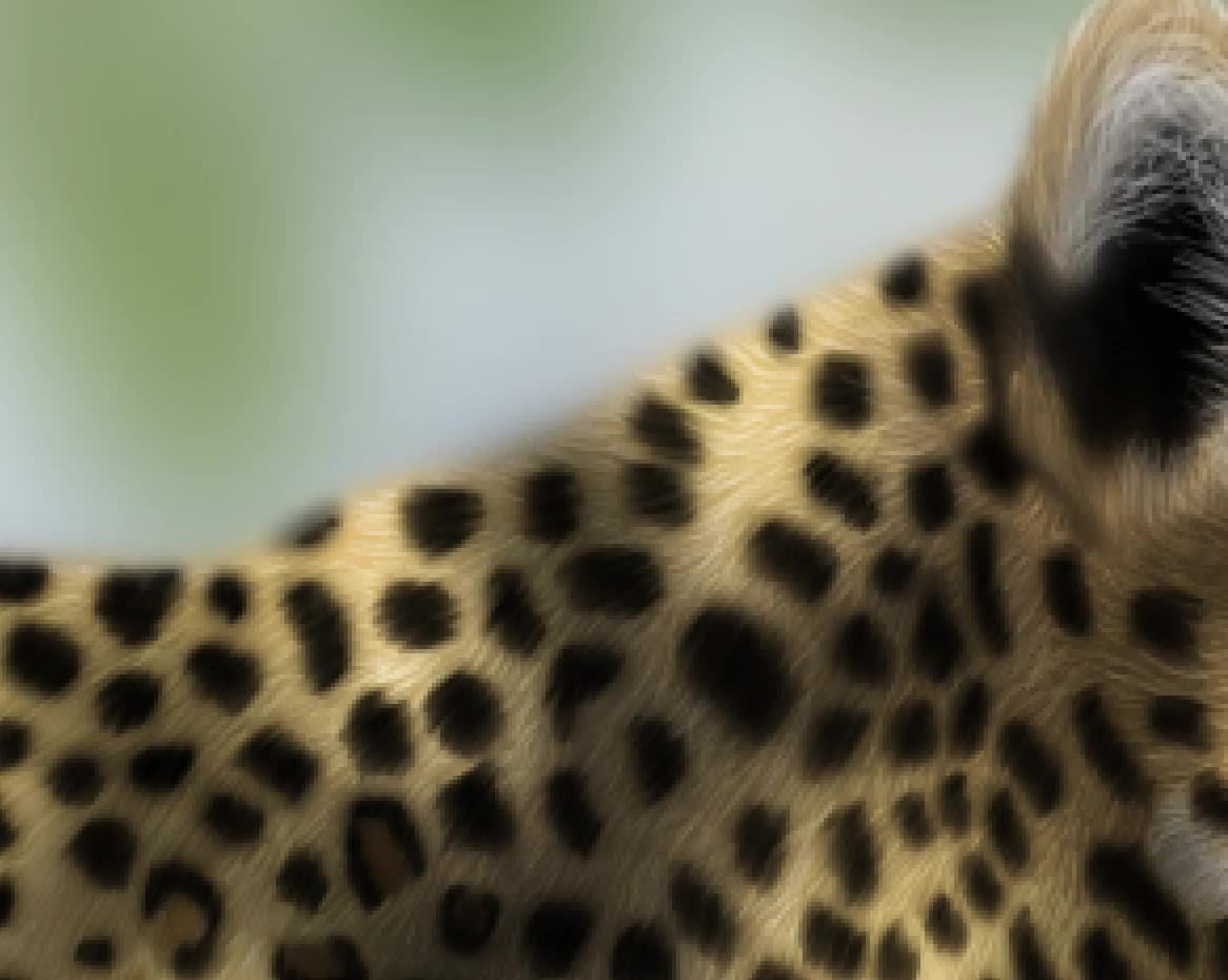 Realistic leopard print Digital download Colorful leopard Wild art ...