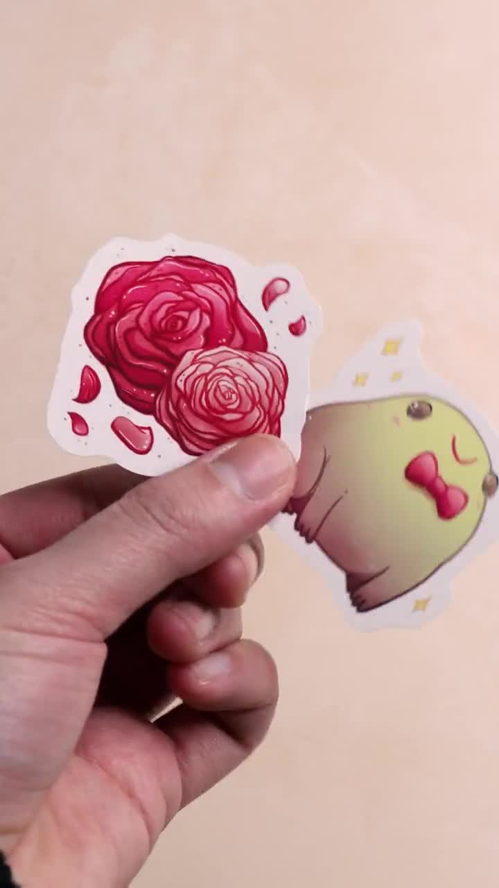 Matthew Sima's Instagram, Twitter & Facebook on IDCrawl