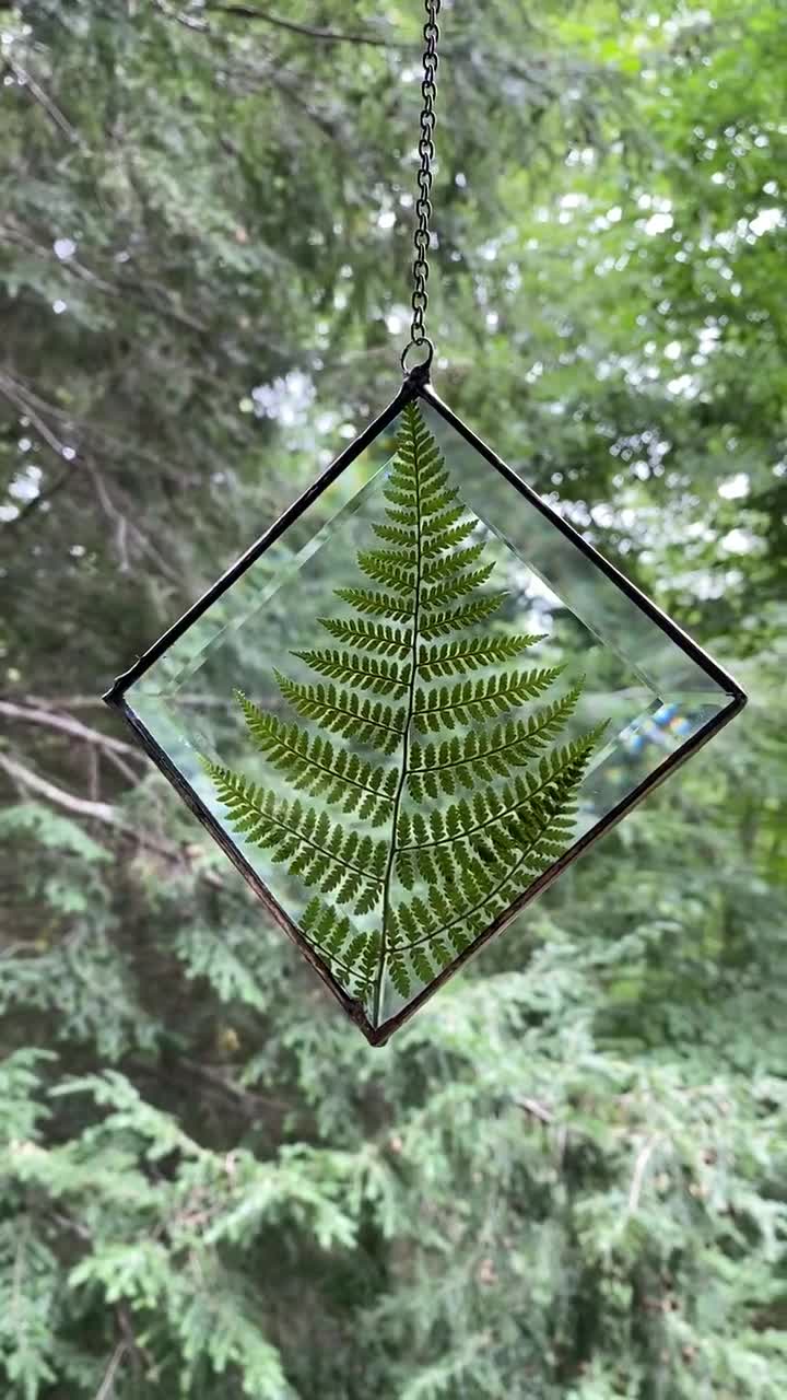 Home & Living Night Lights Birthday Gift Dried Flowers Night Light ...