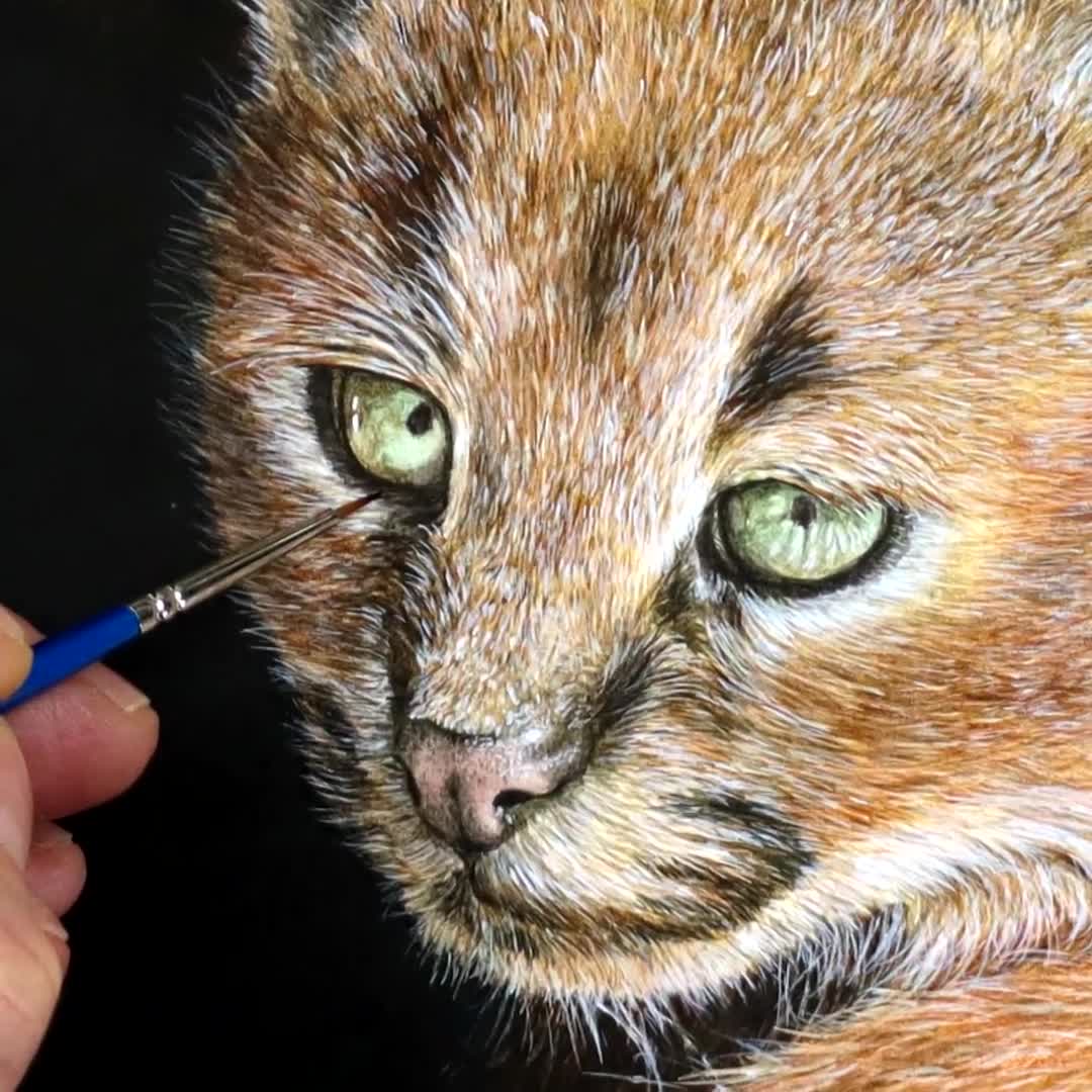Realistic Wild Cat Artwork ORIGINAL Watercolor Lynx Painting ...