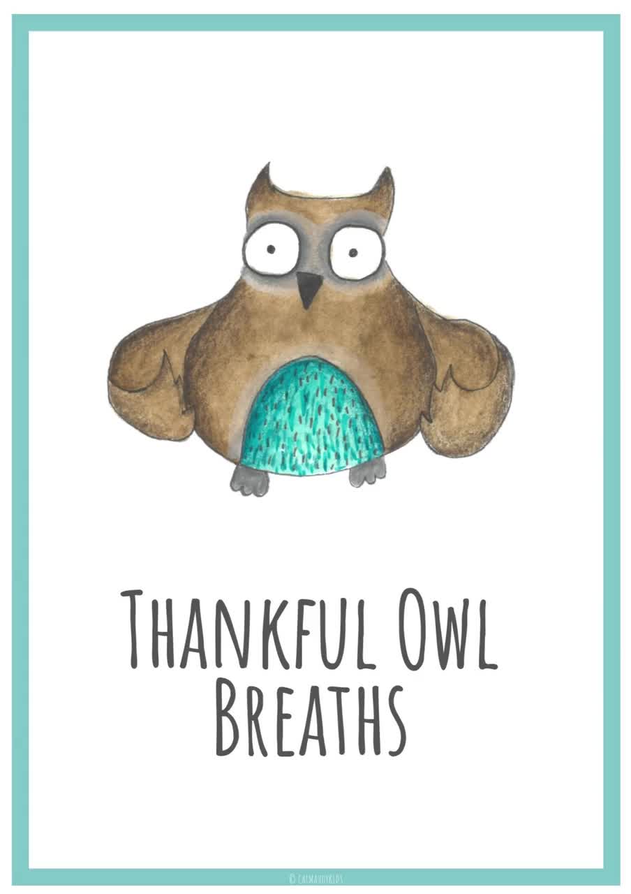 Learning & School Toys & Games Owl Breaths a Mindful Breathing Exercise ...
