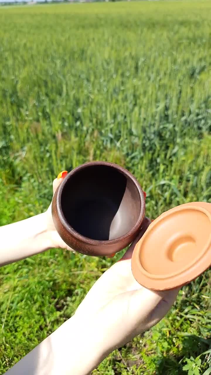 Dutch Ovens Small Ceramic Baking Pot with Lid Pottery Clay Kitchen ...