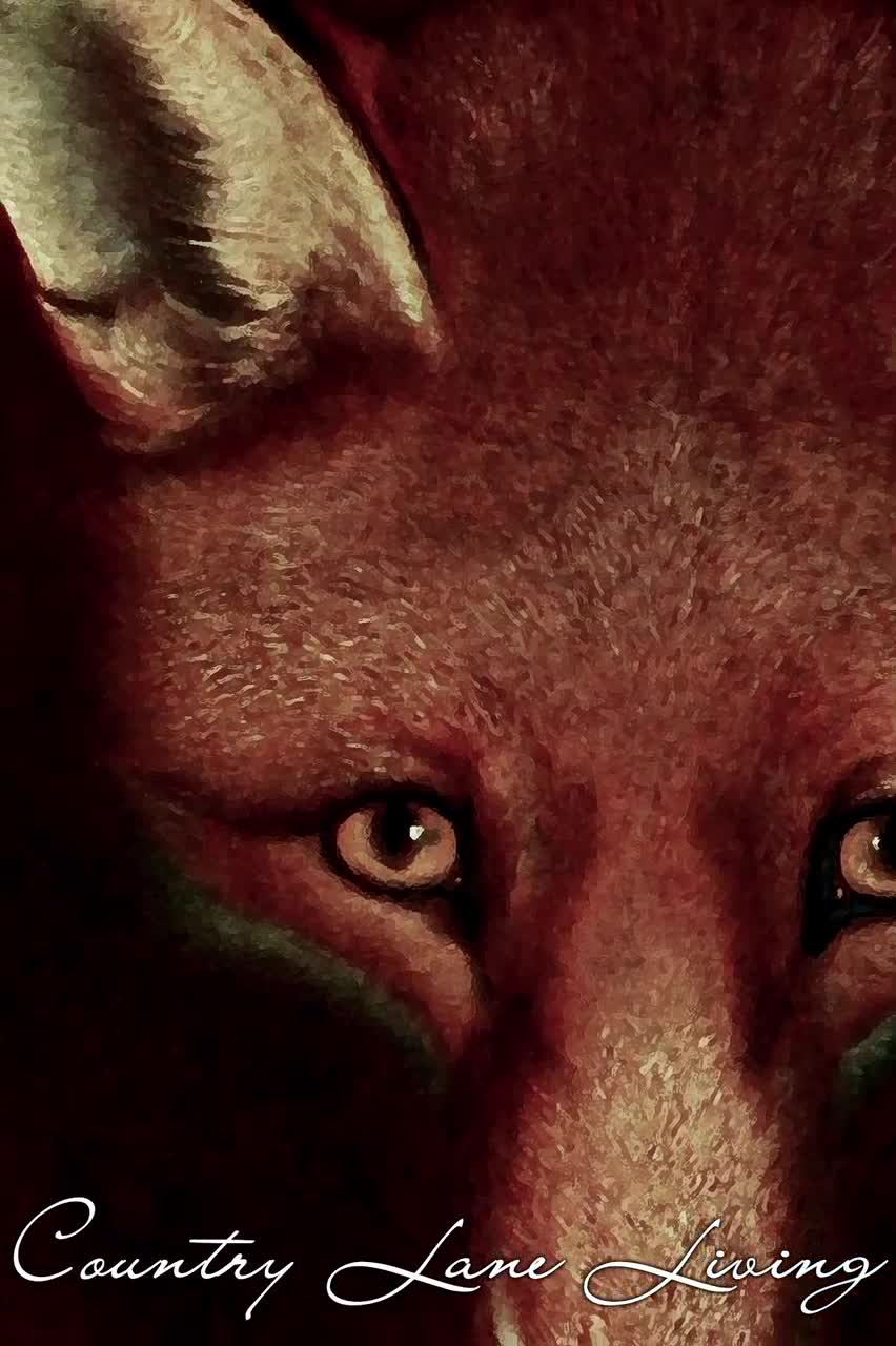 Print at Home Poster The Foxy Fox Portrait Painting Download Printable ...