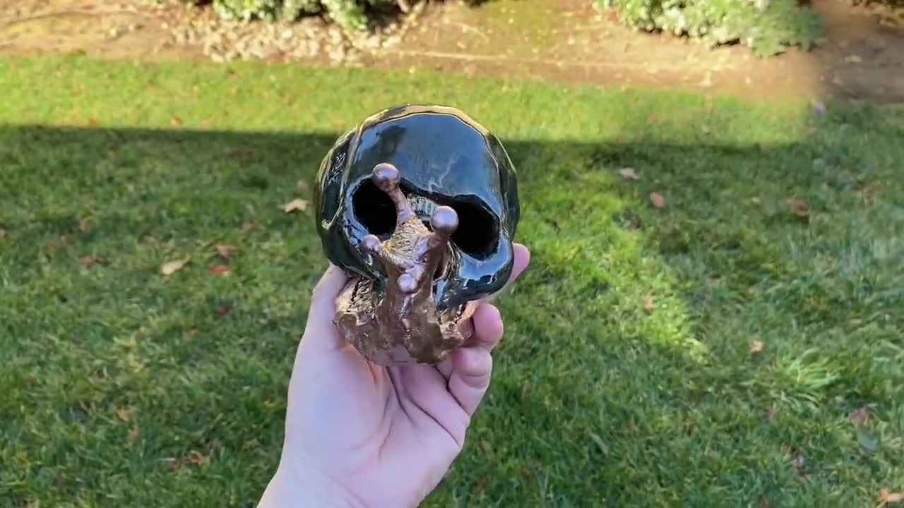 Snail Skull Mini #144 Art & Collectibles Sculpture etna.com.pe