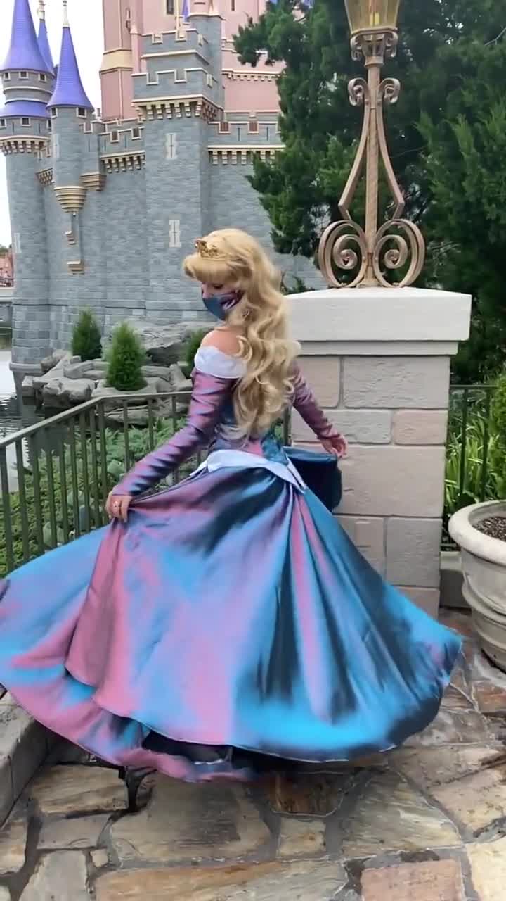Princess Aurora Disneyland Blue Dress