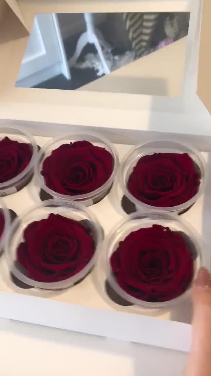 Home & Living Home Décor Burgundy infinity roses box of 9 roses that ...