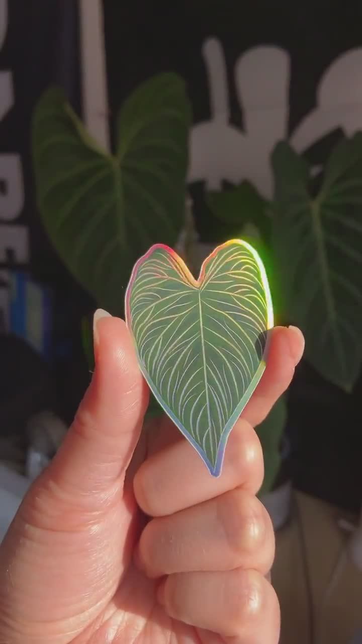Philodendron Splendid Holographic Vinyl Sticker Paper Stickers etna.com.pe